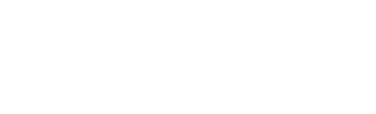 Contact Geckos Inc